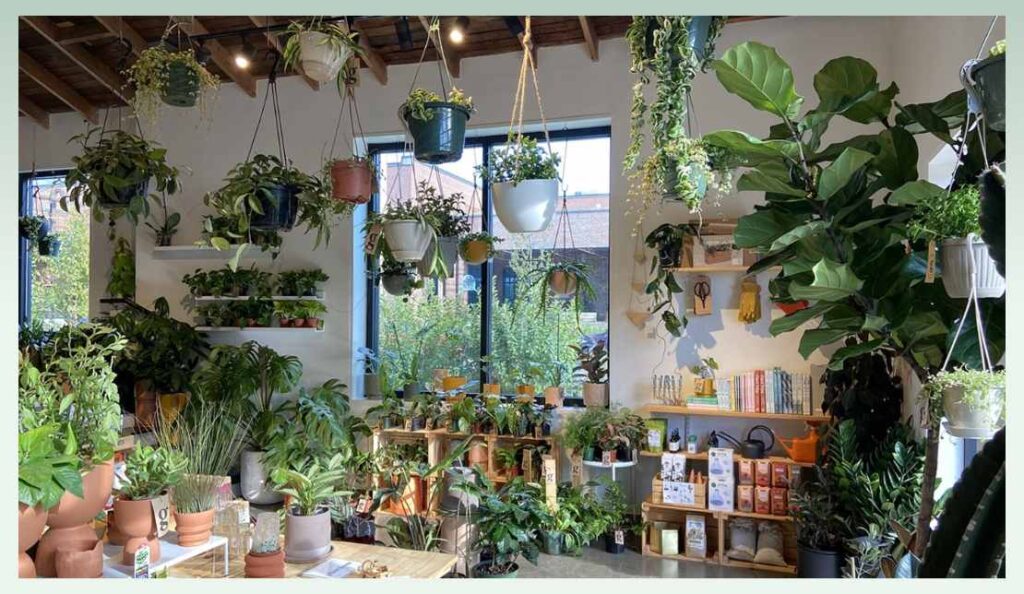 Top 21 Profitable Plant Business Ideas [2024]