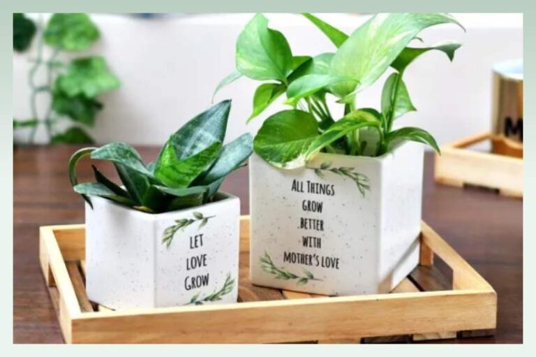 Top 21 Profitable Plant Business Ideas [2024]