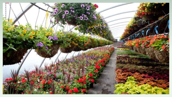 Top 21 Profitable Plant Business Ideas [2024]