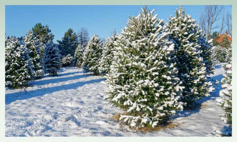 Top 20+ Profitable Business Ideas for Farmers [2024]