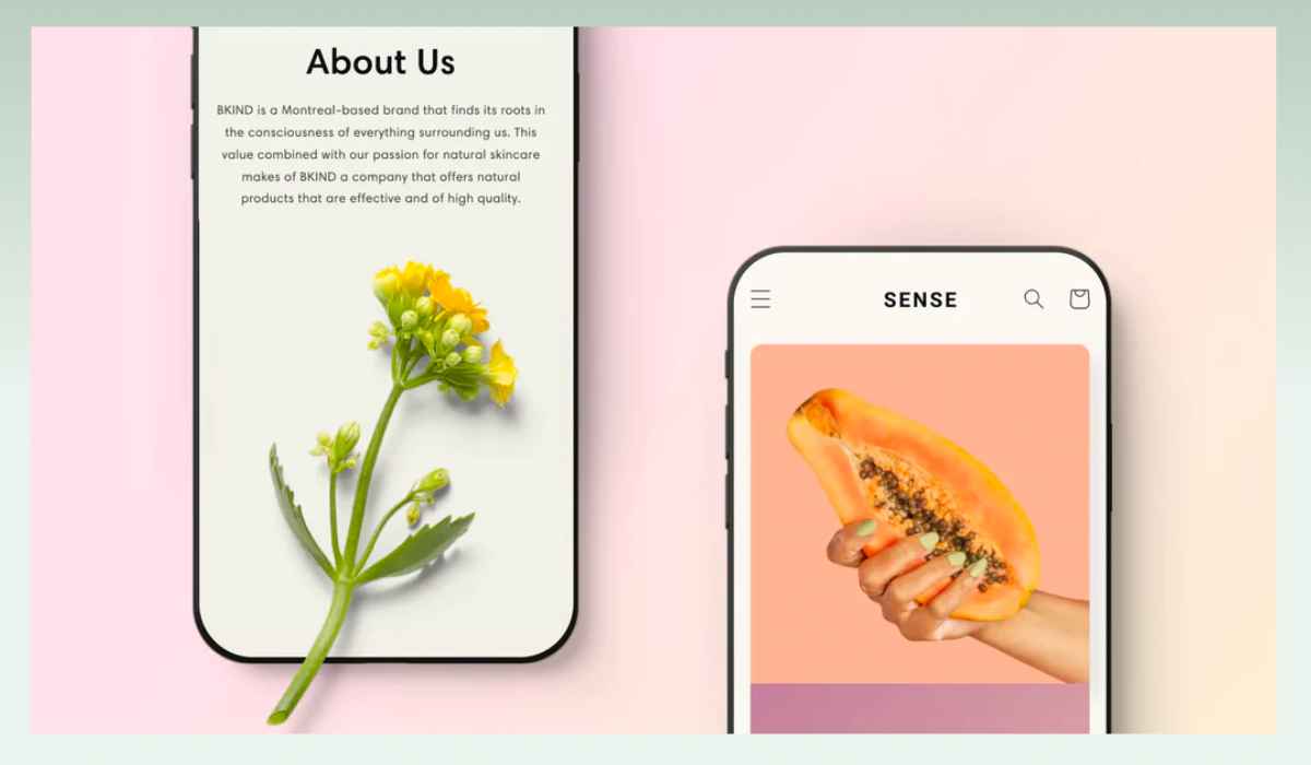 Sense Shopify Theme Review: A Closer Look at Design & Features
