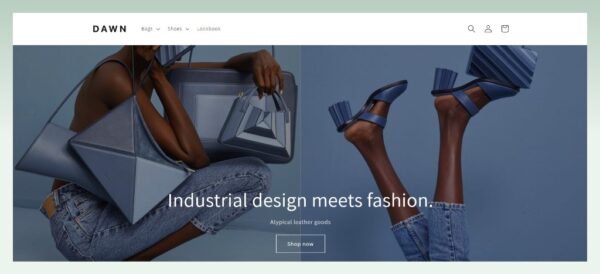 8 Minimal Shopify Themes for a Clean and Modern Store Design