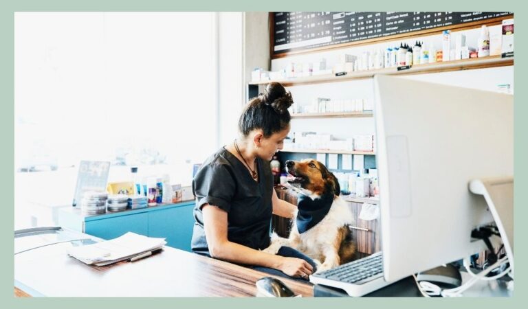 300+ Creative Pet Business Name Ideas For Inspiration [2025]