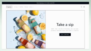 8 Minimal Shopify Themes for a Clean and Modern Store Design