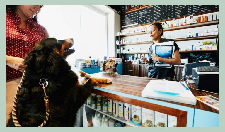 300+ Creative Pet Business Name Ideas For Inspiration [2025]