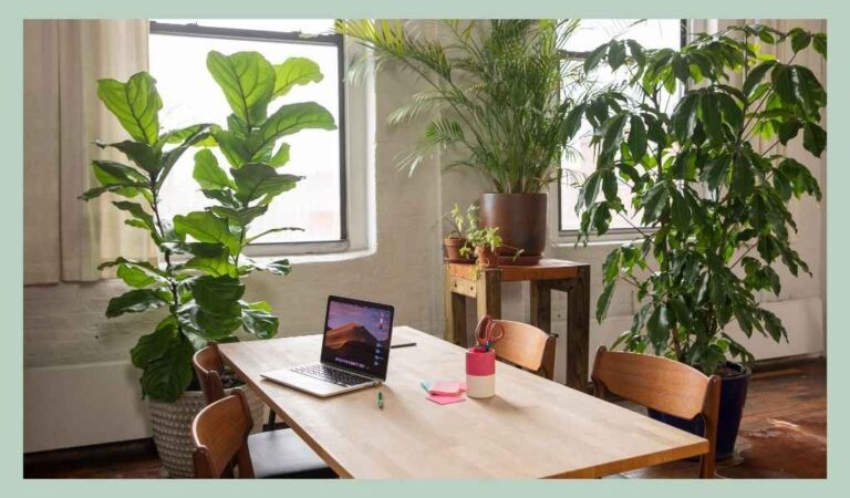 210 Catchy Plant Business Name Ideas [2025]