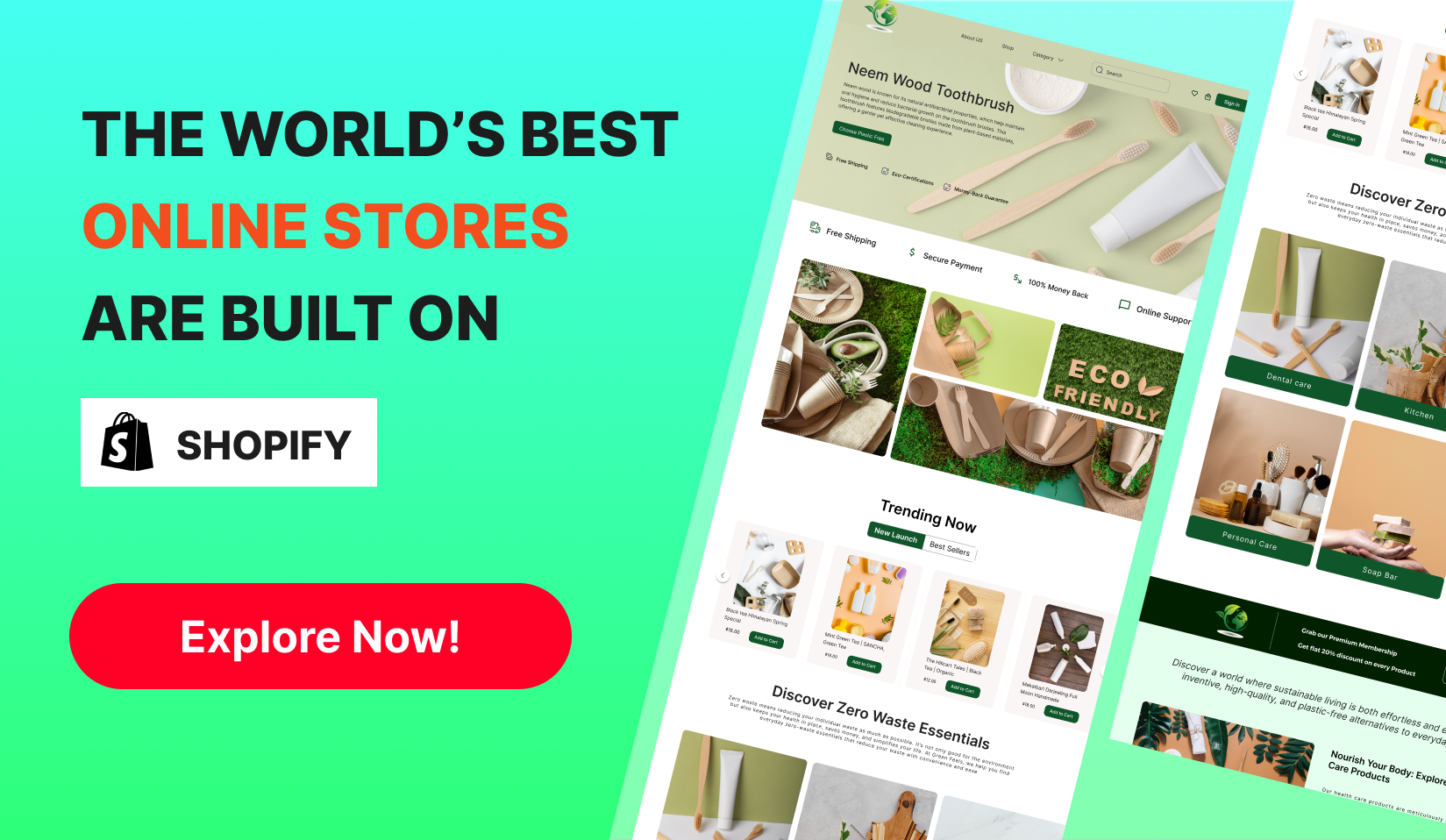 Eco-Friendly Shopify Store Examples: The Green Guide