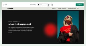 Streamline Shopify Theme Review: An Eye-catching Design