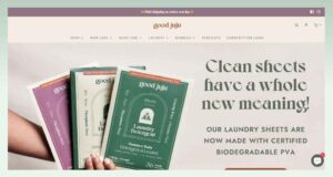 Envy Shopify Theme Review: A Premium Theme with Top Features