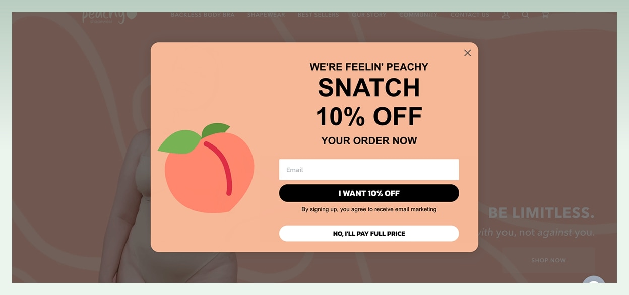 A Complete Guide to Shopify Buy Button: Functions & How To Use