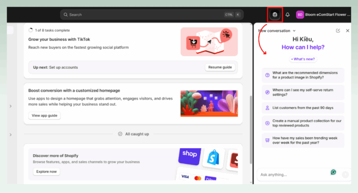 Shopify Sidekick 101: What It Is and How To Use It?